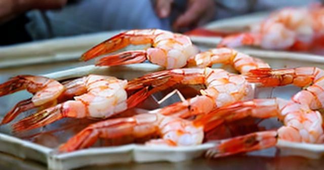 Shrimp from Iran 24/7 Discover the Finest Shrimp